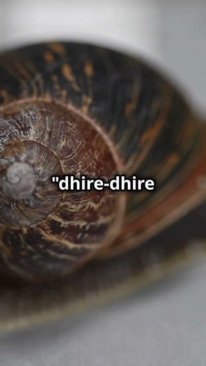 Tcp और Udp कौन सा बेहतर है Tcp Udp Tcpudp Computerscience Youtubeshorts Ytshortsindia Yt