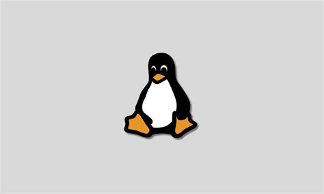 How To Connect MySQL In Linux