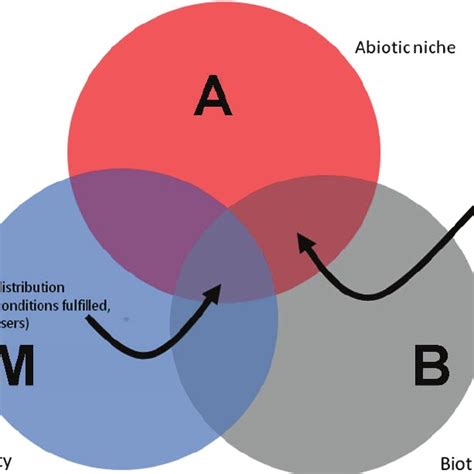 The “bam Diagram ” Showing A Simplified Framework For Understanding Download Scientific Diagram