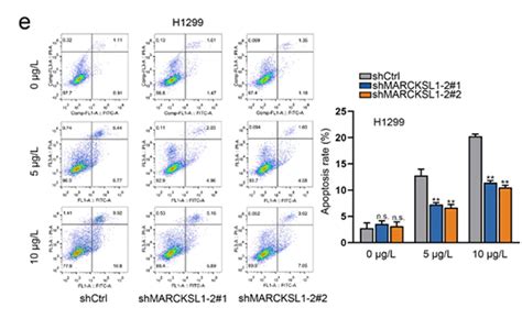 Cell Apoptosis Assay Elabscience