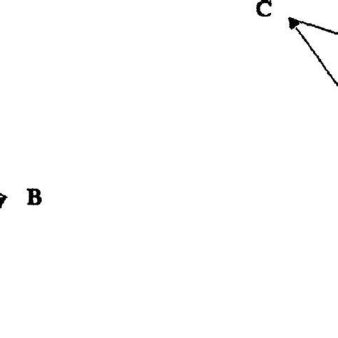 triangle abc oriented counterclockwise and clockwise download