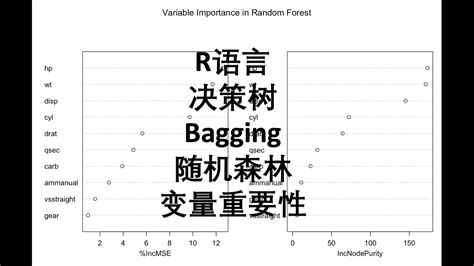 r语言 决策树 bagging 随机森林 random forest 回归问题 变量重要性 youtube