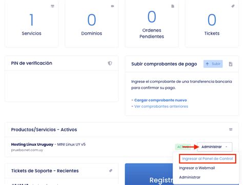 ¿cómo Ingresar Al Panel De Control De Mi Hosting Netuy® Crecé En Internet