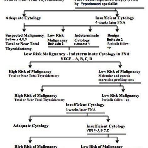 A New Algorithm In The Diagnosis Of Thyroid Nodules Download Scientific Diagram