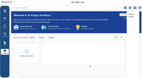 Pinak Dattaray On Linkedin Introducing Ripik Ai Sandbox Develop Your