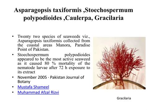 Algae Distribution In Pakistan Pptx