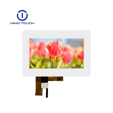 LCD TFT Display Module Capacitive Touch Screen Panel Touch Screen And Inch Touch Screen Price