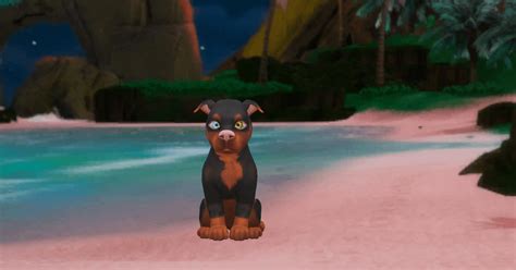 this is turtle r sims4