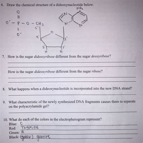 Solved 6 Draw The Chemical Structure Of A Dideoxynucleotide