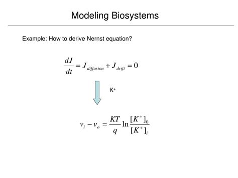 Ppt Modeling Biosystems Powerpoint Presentation Free Download Id 5150094