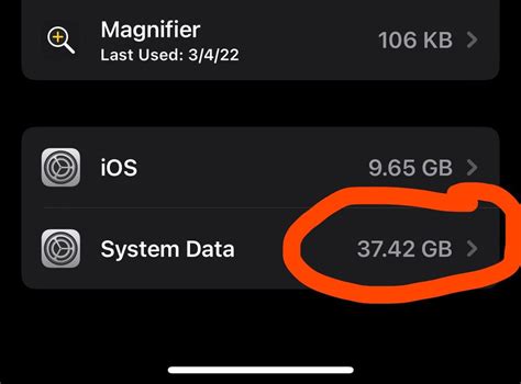 Any Guides To Delete System Data Its Consumed Almost 38 Gb Wtf Riphone