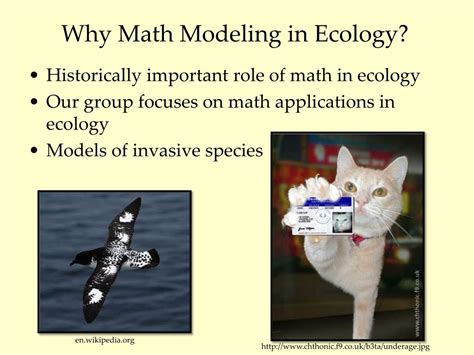 Ppt Introducing Mathematical Modeling In An Undergraduate Ecology Laboratory Powerpoint