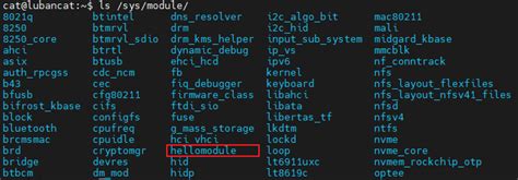 3 Linux内核模块实验 — 野火 嵌入式linux驱动开发实战指南——基于lubancat Rk系列板卡 文档