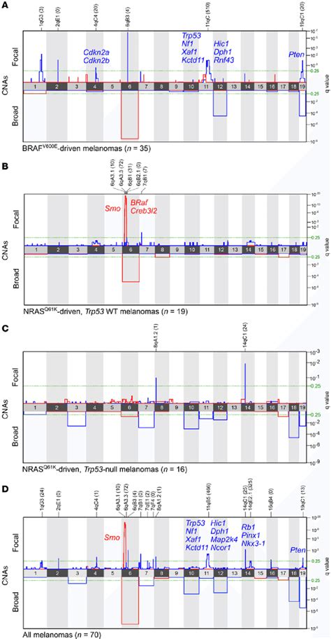 Gistic Analysis Of Recurrent Genetic Alterations In Murine Melanomas Download Scientific
