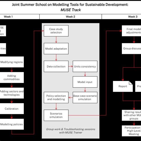 Workflow Of Muse Case Studies During The Summer School Download