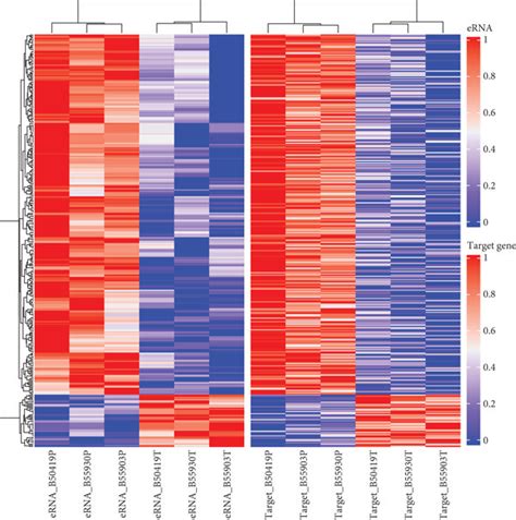 Bioinformatics Analysis Of Target Genes Of Differentially Expressed