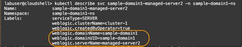 Monitor Weblogic Server On Kubernetes Using Oracle Enterprise Manager