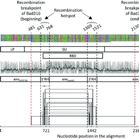 Recombination Analysis Download Scientific Diagram