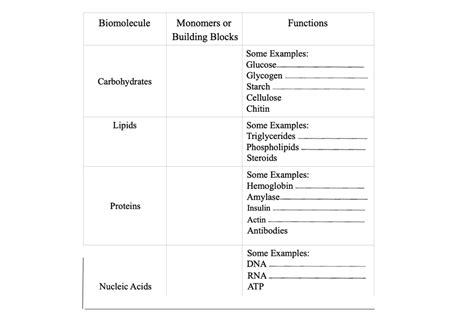 biomolecules molecular building blocks at justin wells blog
