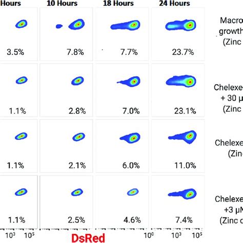 bacterial replication as a function of time and zn availability the