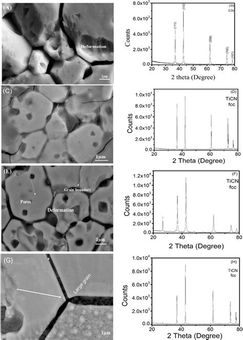 Sem Micrographs And Corresponding Xrd Of The Sintered Compacts A B