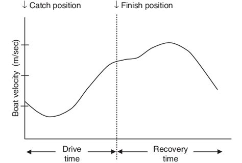 a typical force velocity time curve during on water sculling in a