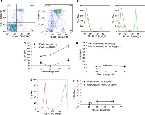 Comparative Adcc Activity Of Different Cell Types From A Single Healthy Download Scientific