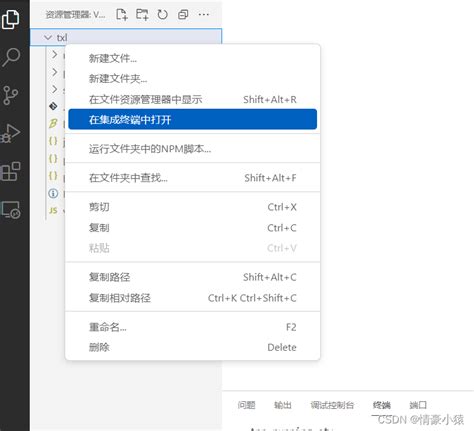 Vscode 运行vue项目 没有出现 Npm脚本vue3项目npm脚本的选项怎么没有了 Csdn博客