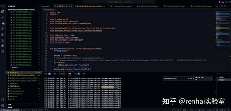 如何在github的codespace上安装chrome浏览器并使用selenium 知乎