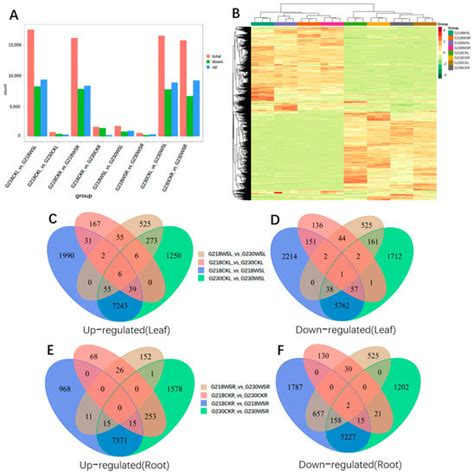 Ijms Free Full Text Tissue Specific Transcriptome And Metabolome