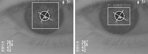 an example of pupil detection for the two strategies mentioned in table