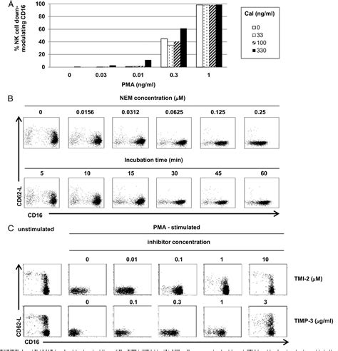 Figure 4 From This Information Is Current As Activation Cleavage Site