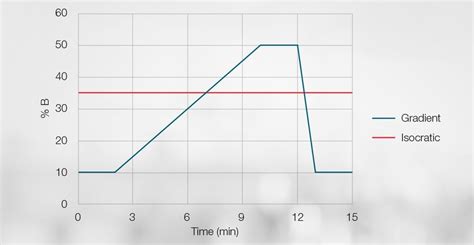 Hplc Basics What You Should Know