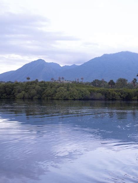 Page 11 Los Rios Images Free Download On Freepik