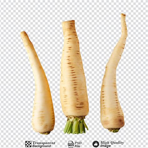 Page 3 Parsnip Idea Psd 5 000 High Quality Free Psd Templates For Download