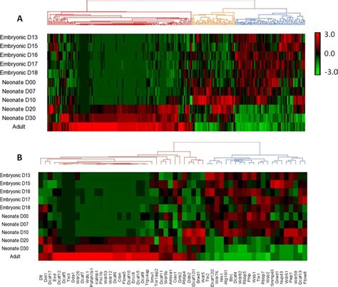unsupervised hierarchical clustering of mrna expression profiles of