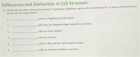 Solved Differences And Similarities In Cell Structure Chegg
