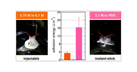 Coacervate Based Underwater Adhesives In Physiological Conditions Acs Applied Polymer Materials