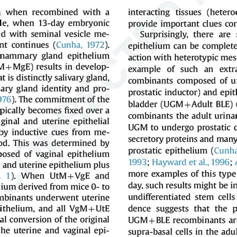 Mesenchymal Specification Of Uterine And Vaginal Epithelial