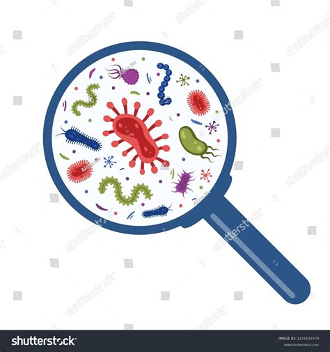 세균 489533개가 넘는 로열티 프리 라이선스 대상 스톡 일러스트 및 그림 Shutterstock