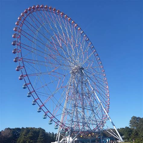 日本最大『級』の観覧車 ブログ 東京都江戸川区のフリースクールならpalab
