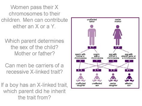 Heredity Chapter Part Beyond Mendels Laws