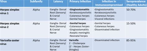 Herpes Simplex Virus Updated Summer 2023 Flashcards Quizlet