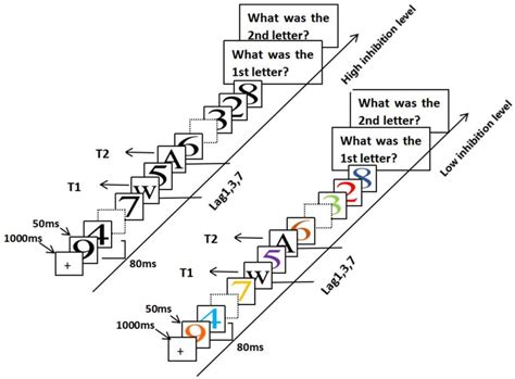 schematic representation of the display sequence of stimuli in ab task