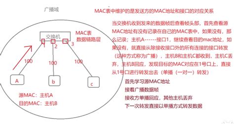 Websecurity交换机の基础md At Main · Bssn520websecurity · Github