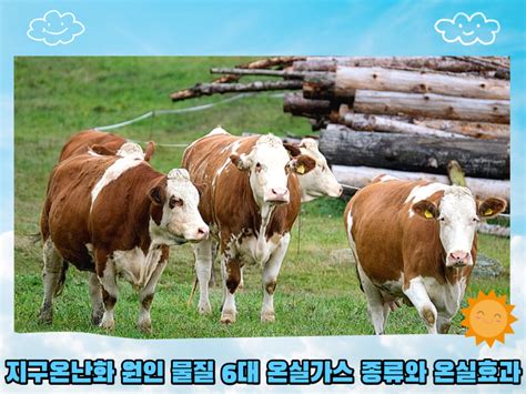 지구온난화 원인 물질 6대 온실가스 종류와 온실효과 네이버 블로그