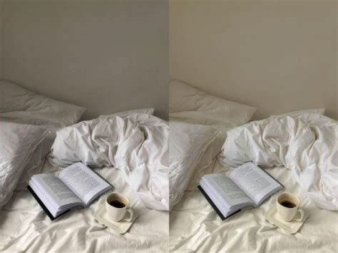 NUDE FILTER LIGHTROOM MOBILE DESKTOP PRESETS FilterGrade