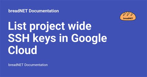 List Project Wide SSH Keys In Google Cloud BreadNET Documentation