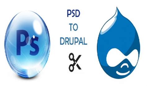Psd To Drupal Transform Your Designs Into Dynamic Websites