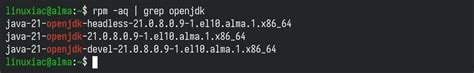 How To Install Java On Almalinux 10 A Step By Step Guide